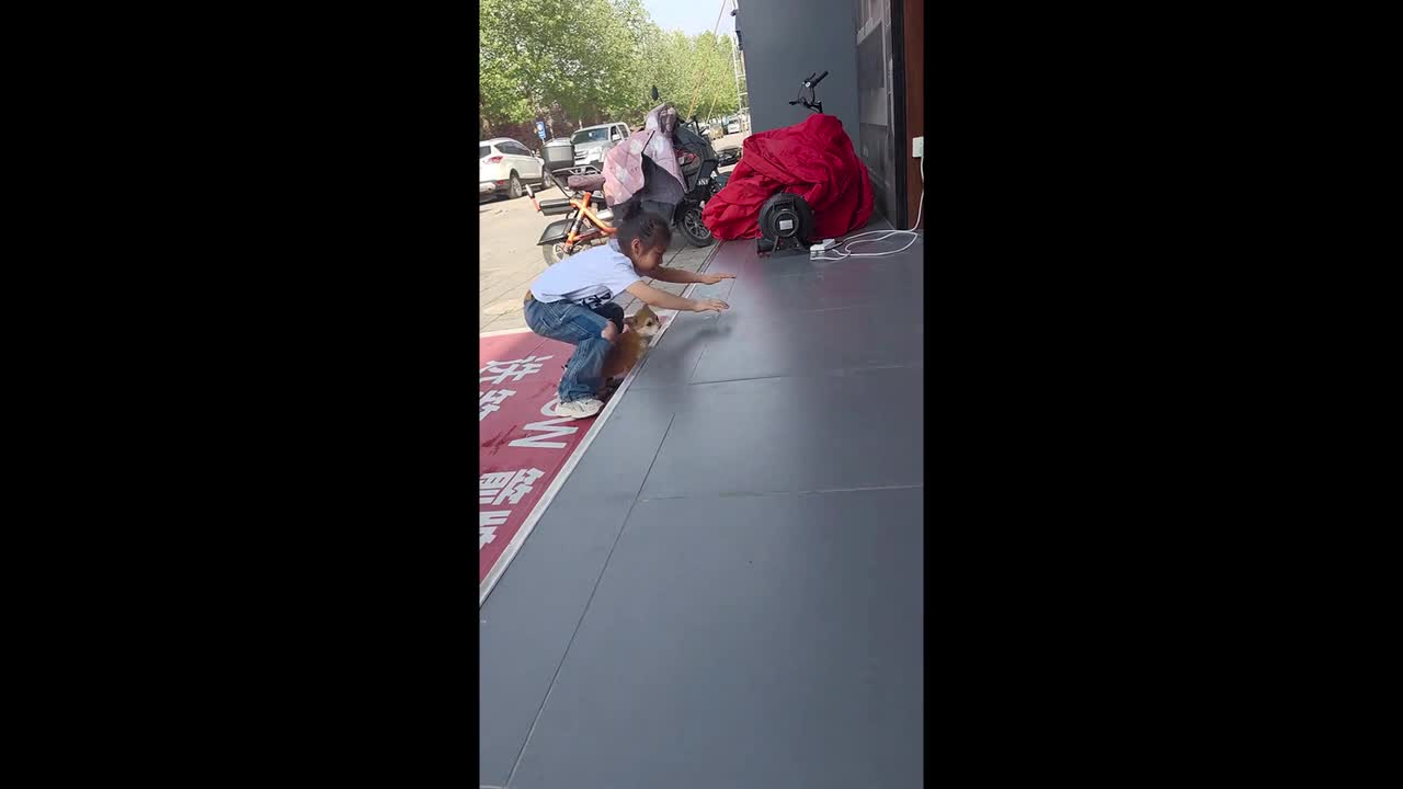 Wholesome moment young girl teaches tiny puppy how to climb up stairs