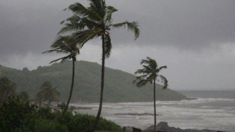 Goa rains red alert : गोव्यात पावसाचा 'रेड अलर्ट' हवामान खात्याचा इशारा