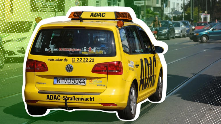 Bathroom Horror! Over 70 Snakes Found Inside Toilet Tank – Terrifying ...