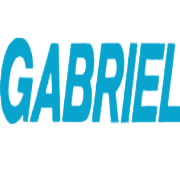 Gabriel India soars after announcing strategic business restructuring ...