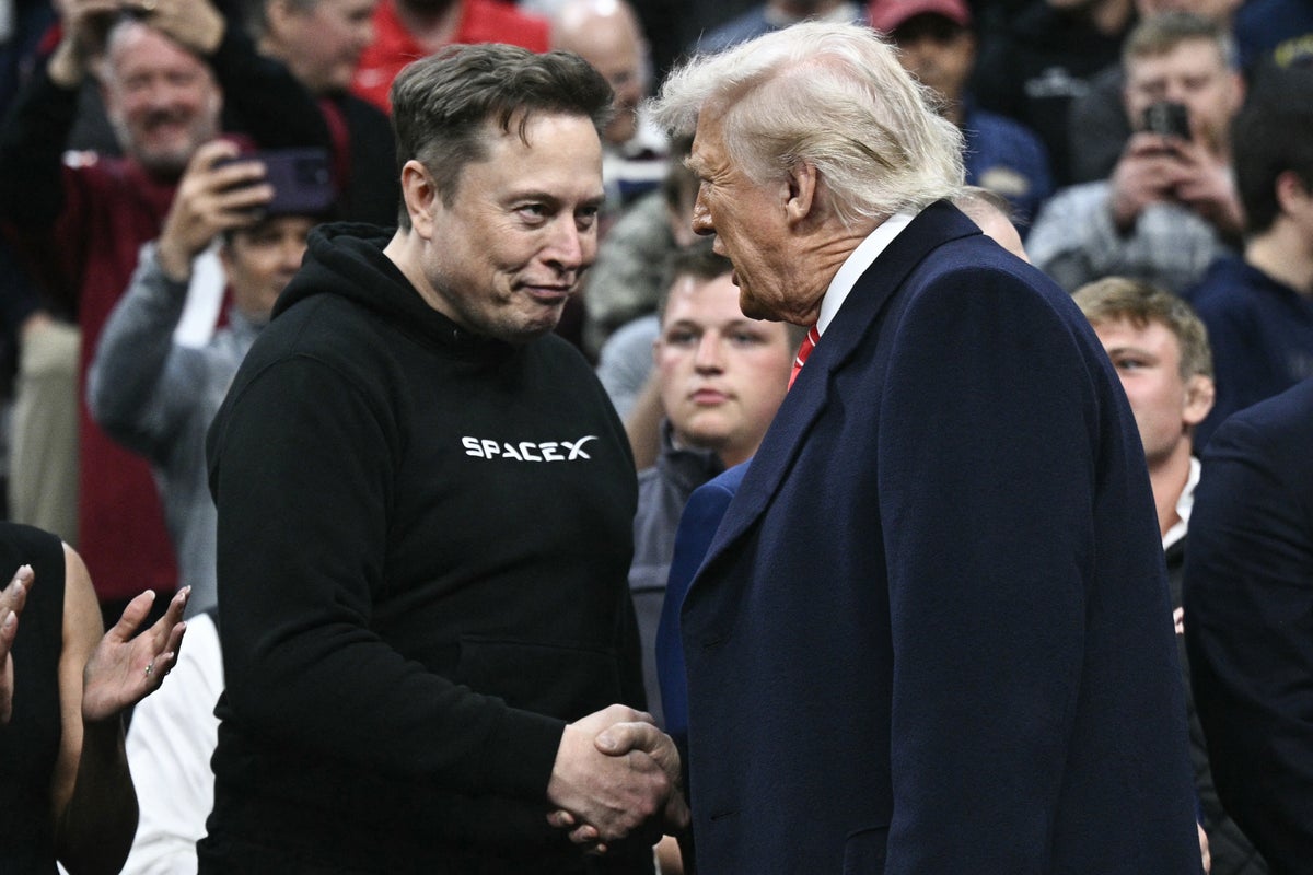 Furious Democrats call for investigation into Musk’s bid to help build ...