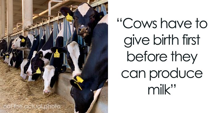 “Lefty Loosy, Righty Tighty”: 16 Highly Useful Facts That Are Not Yet ...