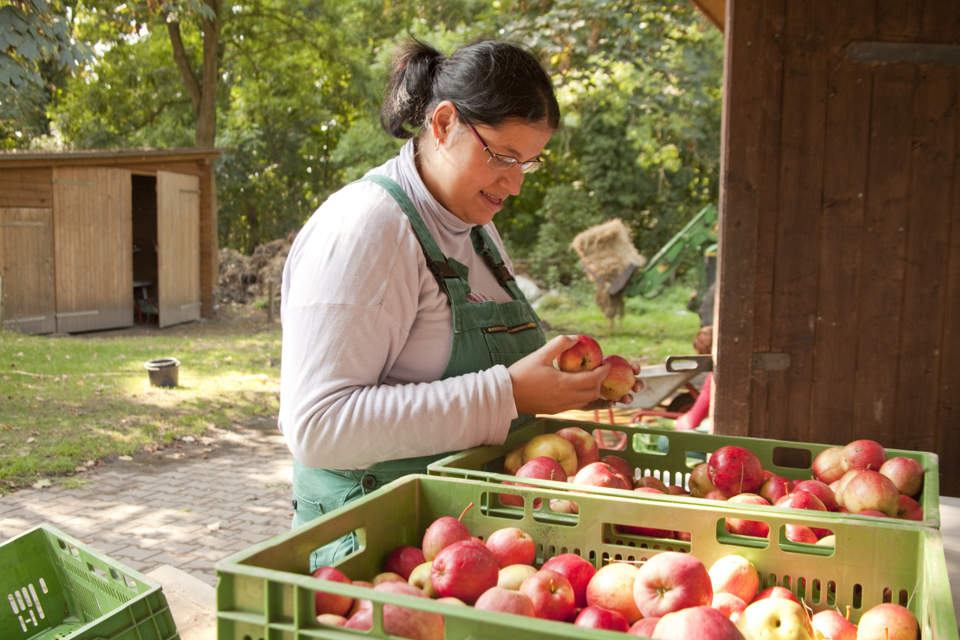 Excellent & interesting Ford concept cars you may have never seen