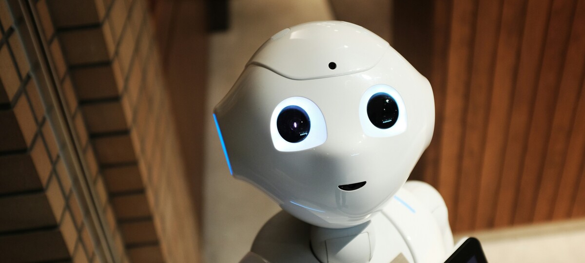 Moral Rights for AI Bots? What About Human Bots?