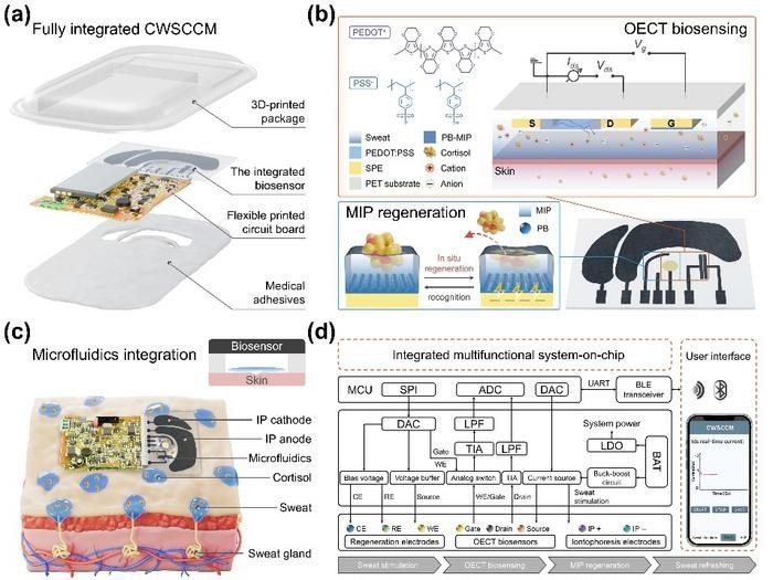 Wearable System for Continuous Cortisol Monitoring
