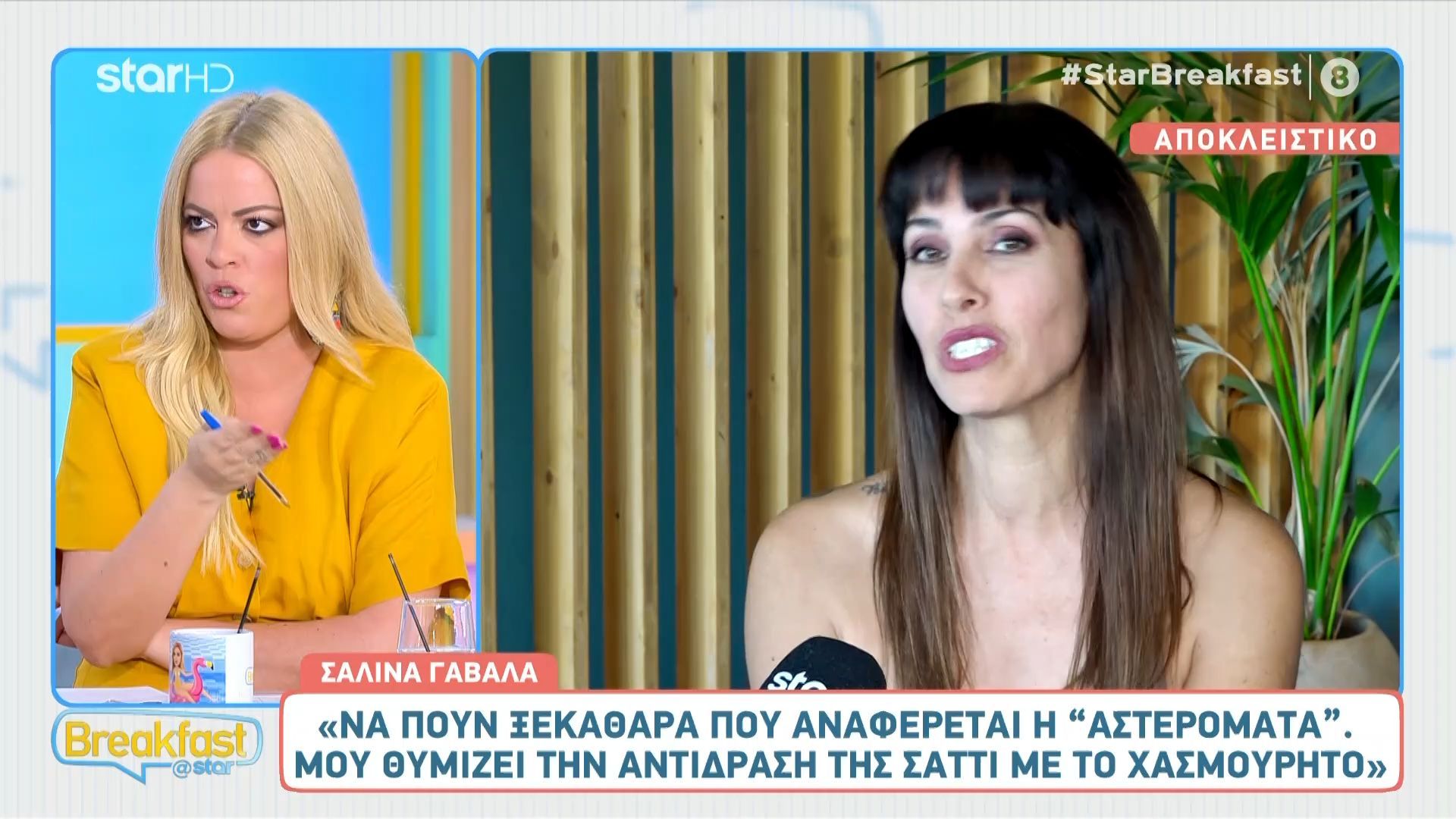 Μ. Αργυριάδου για Σ. Γαβαλά: «Για να ησυχάσει επειδή δεν πήγε η ίδια ...