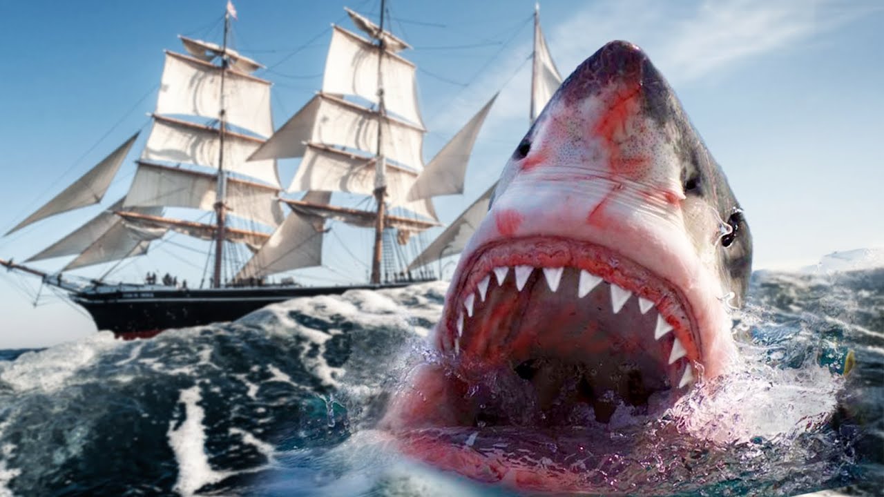 Inside the Numbers: 444 Shark Attack Deaths Explained