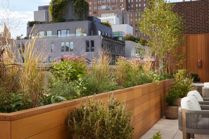 Before & After: A SoHo Roof Terrace Goes From Drab and Lifeless to ...