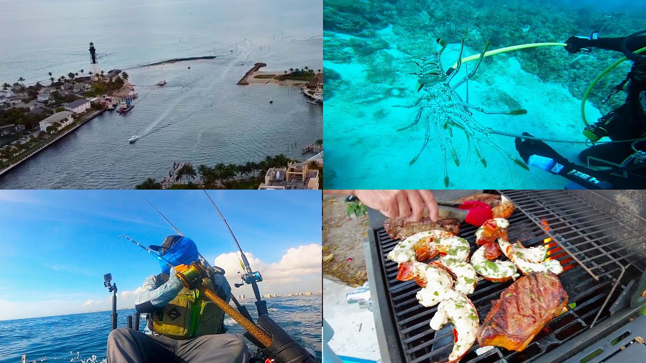 Peacock Bass Solo Skiff Fishing Lake Ida Florida – Live Shiners for ...