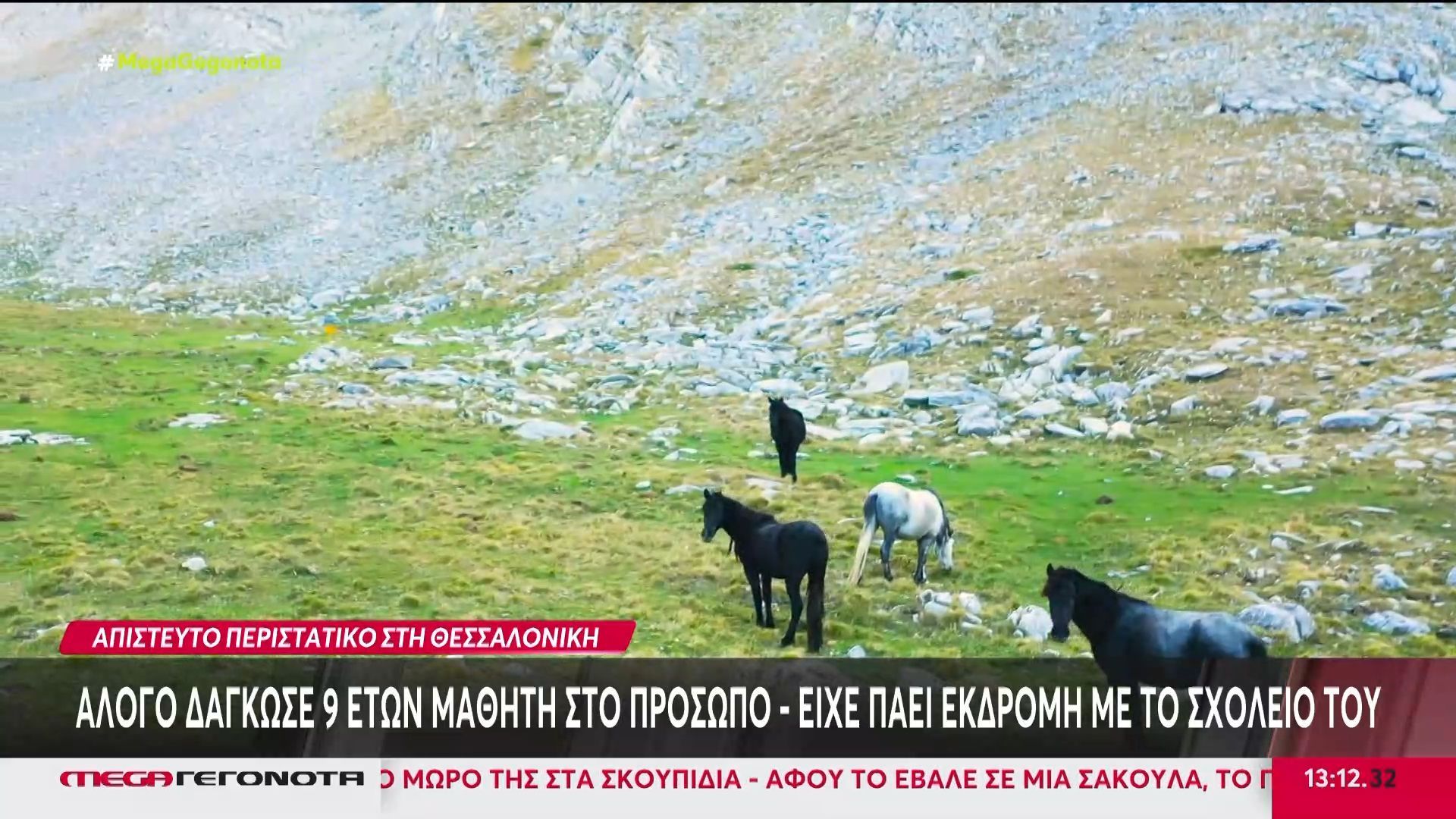 Θεσσαλονίκη: Άλογο δάγκωσε 9χρονο αγοράκι στο πρόσωπο