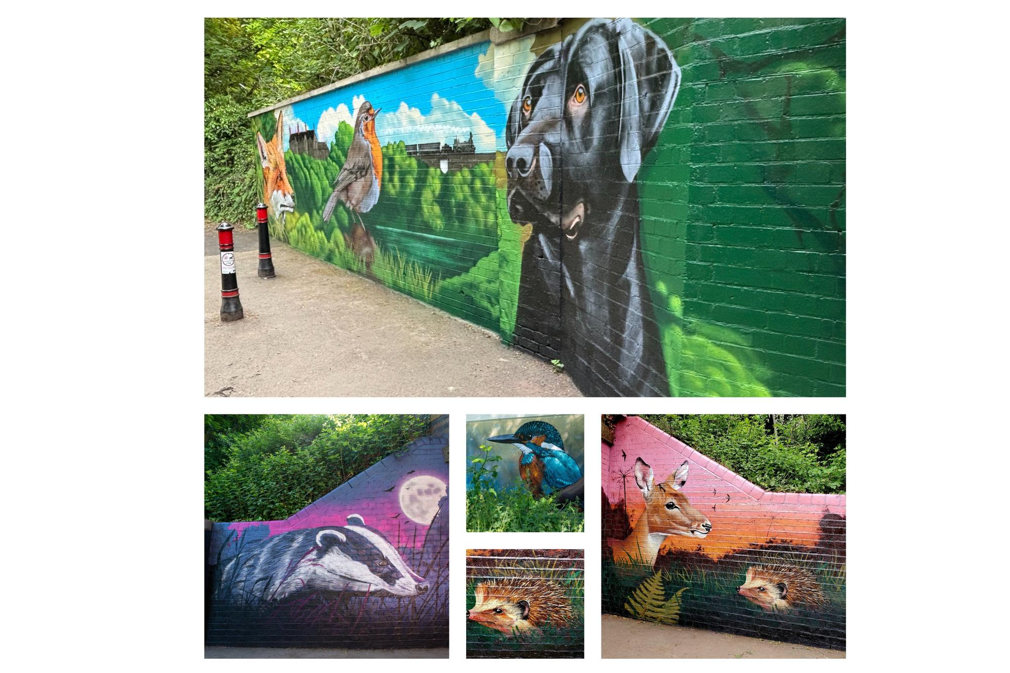 In pictures: The striking new murals at Priory Park in Warwick