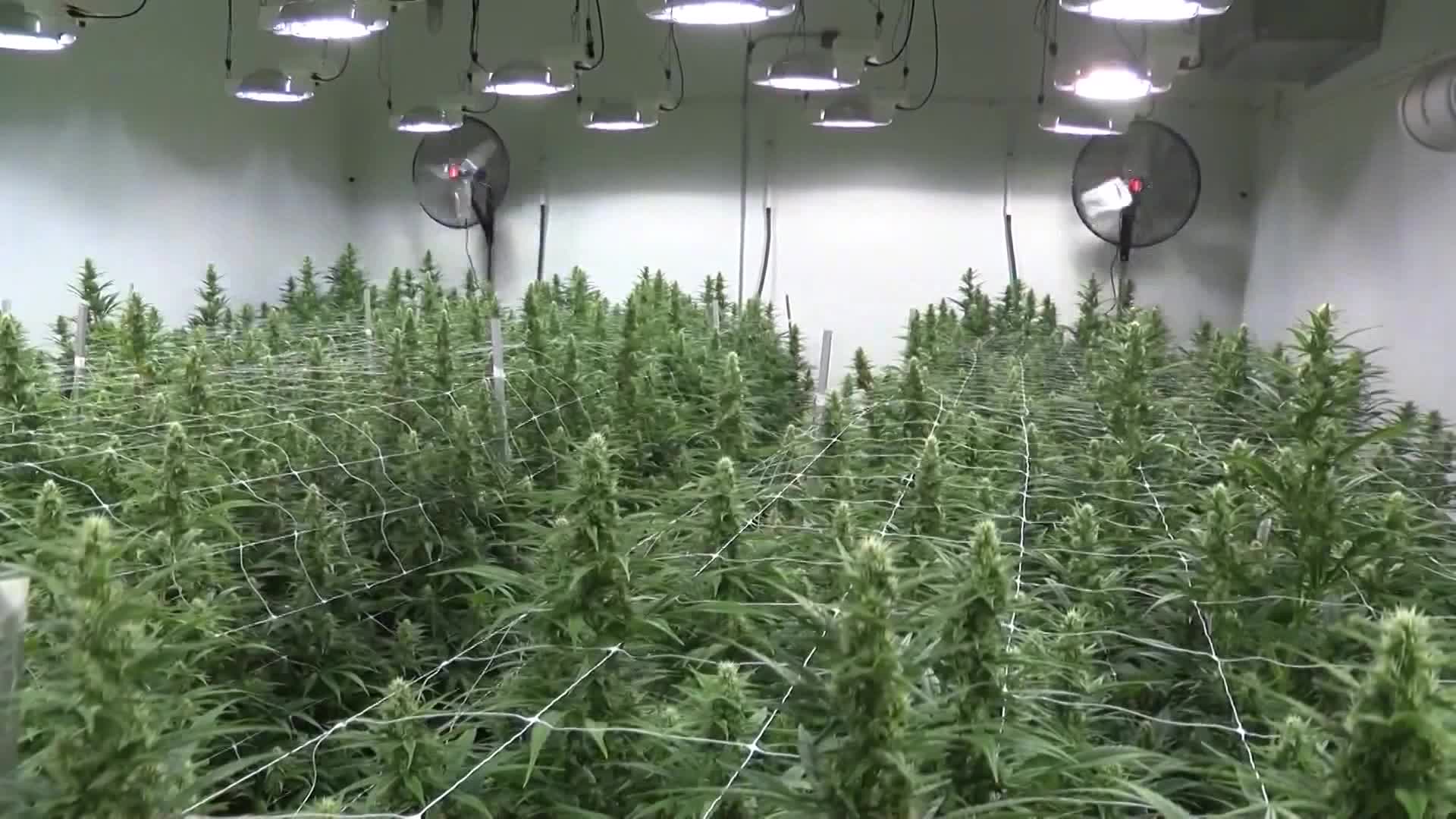 The Texas House THC debate continues