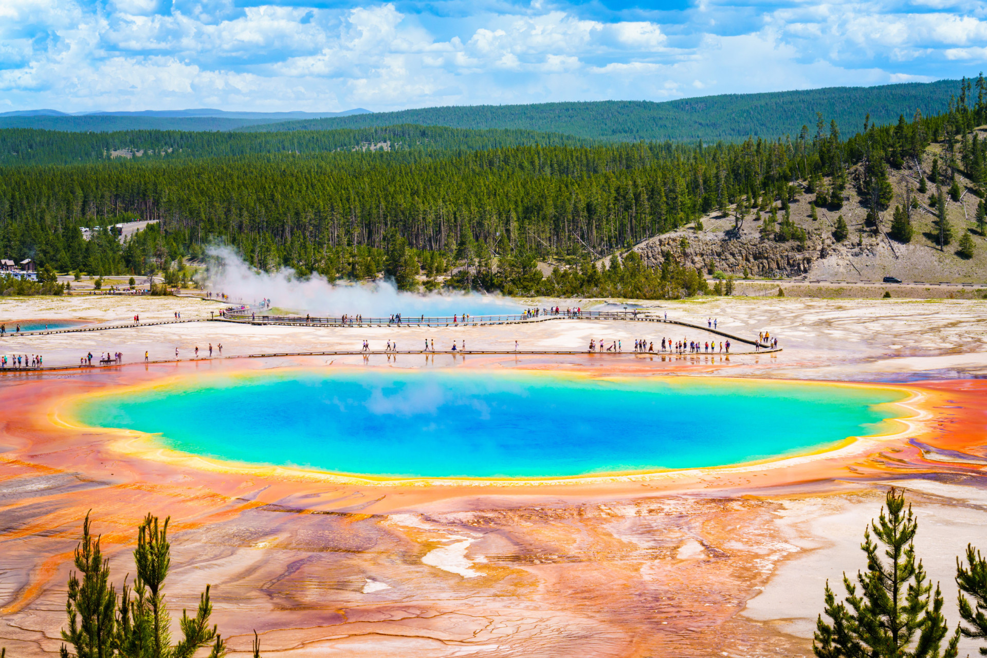 'Carter Country': The Cast Then and Now