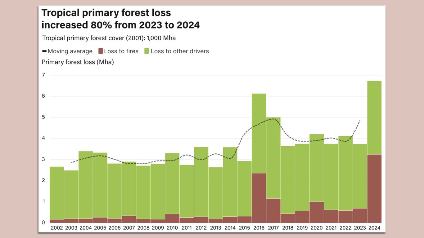 Global forest loss hits record — with CO2 in tow