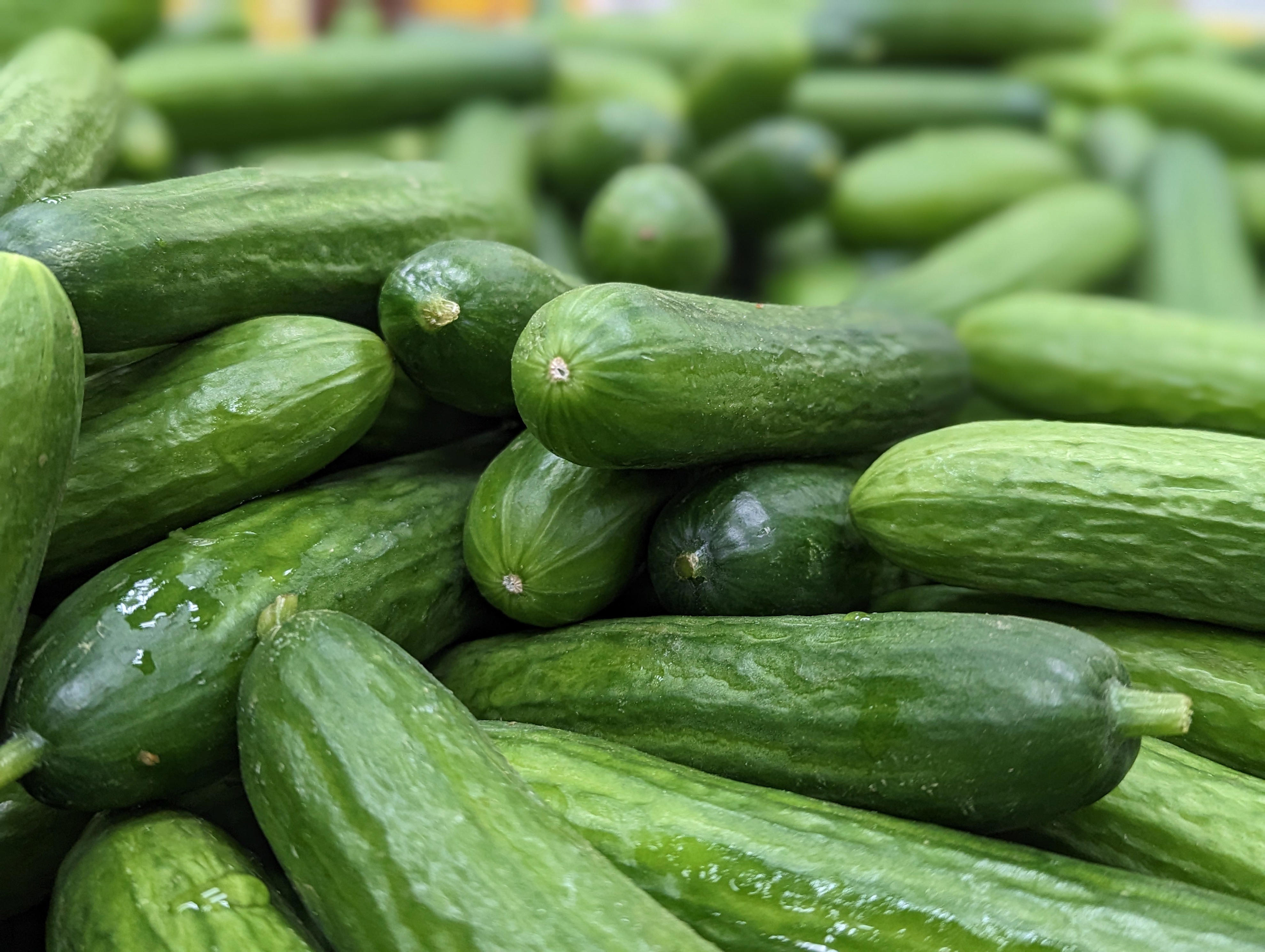 Bedner Growers tied to salmonella outbreak: See which cucumbers are ...