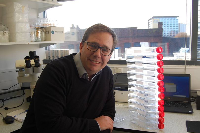 T-Rex leather being developed by Newcastle scientists