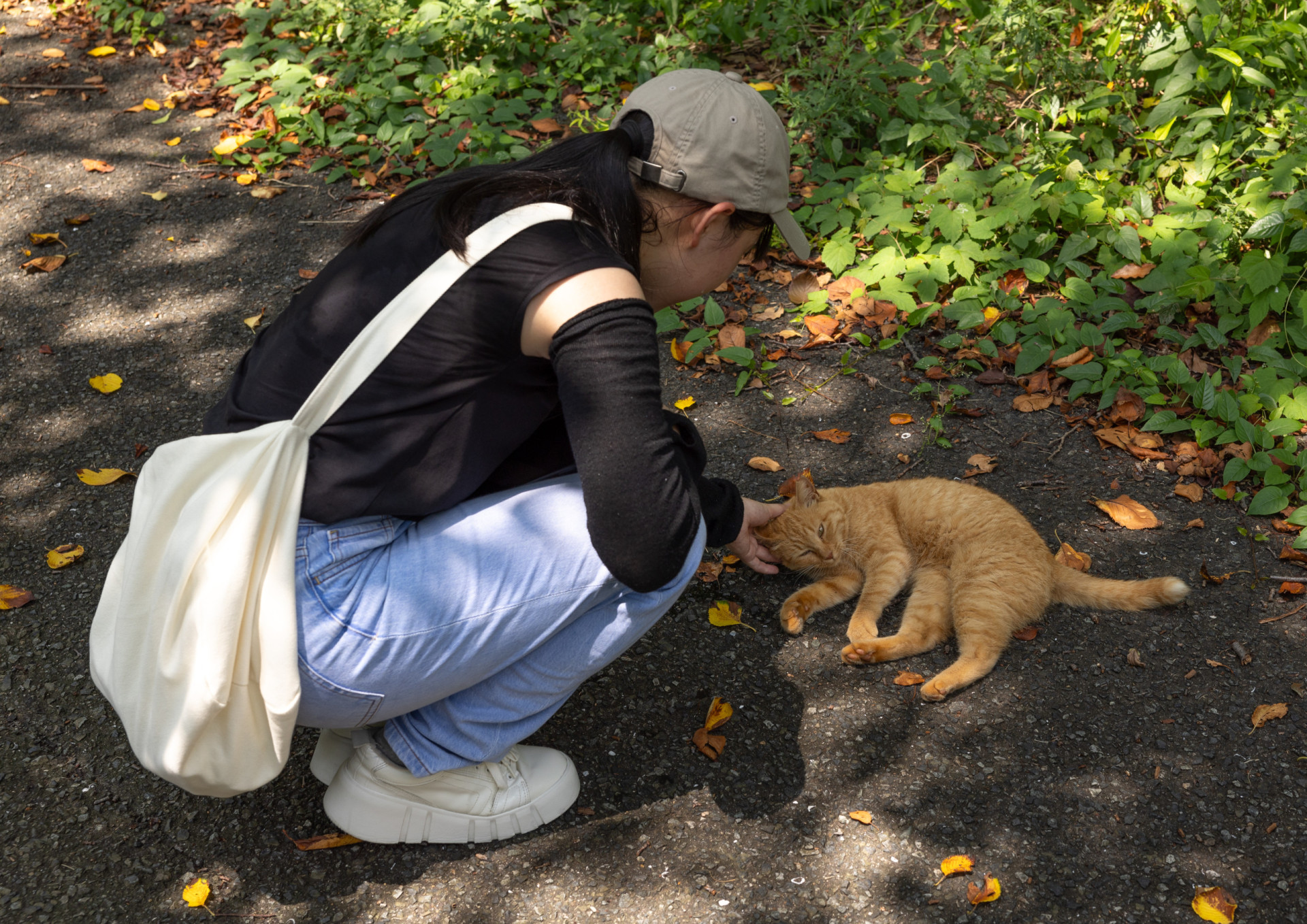 Peek inside Japan's surreal island of cats