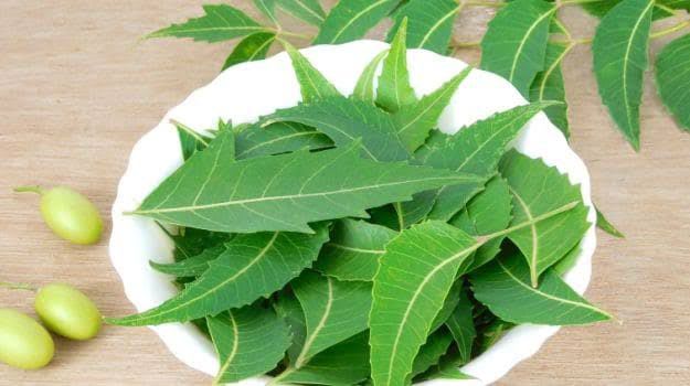 5 Nigerian herbs that can cure malaria faster than drugs