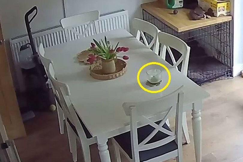 Mum's spooky' video shows mug 'exploding' by itself on kitchen table