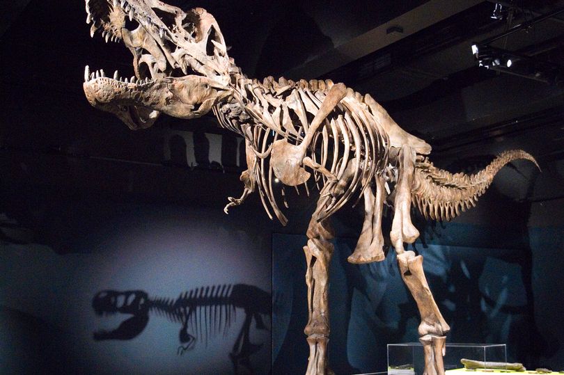 World first T-Rex leather being developed by Newcastle scientists