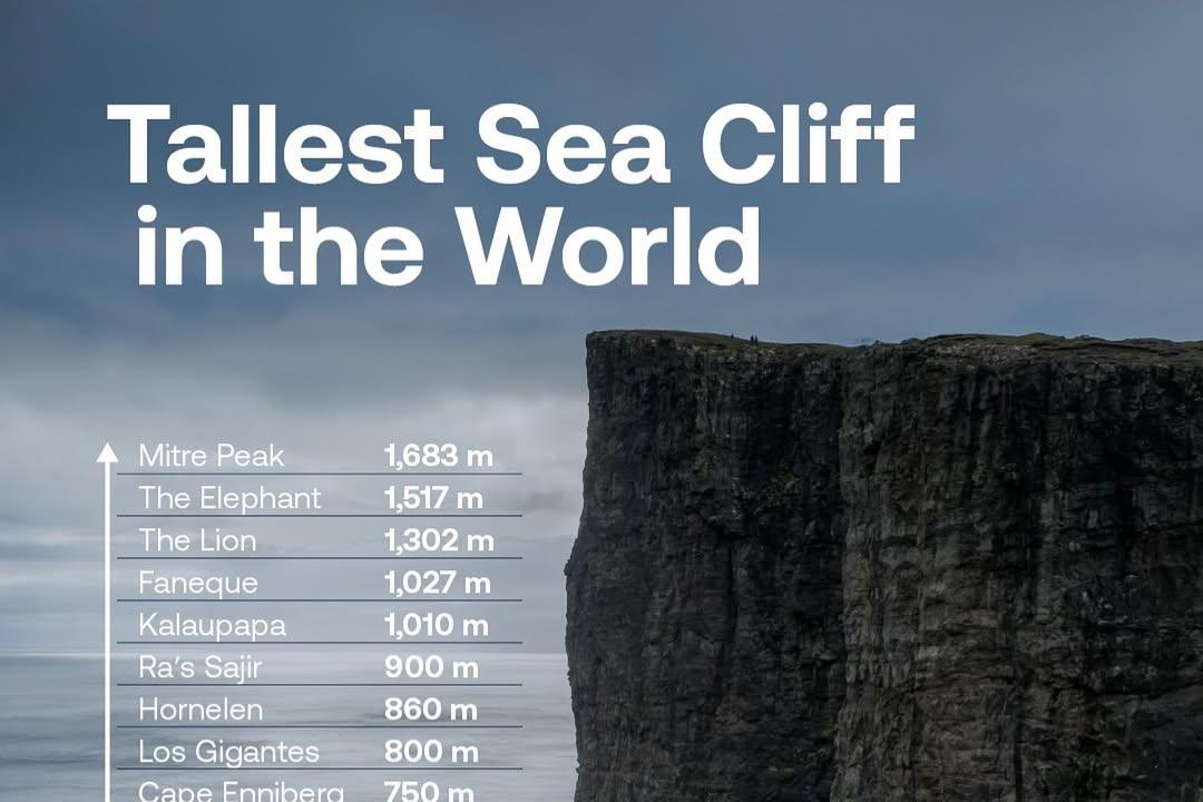 The world's tallest sea cliffs: Nature’s towering marvels