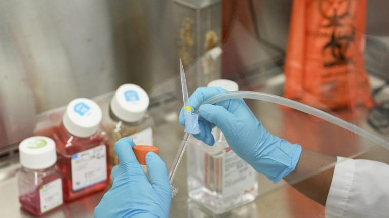 Universities struggle to keep cancer research afloat amid Trump funding ...