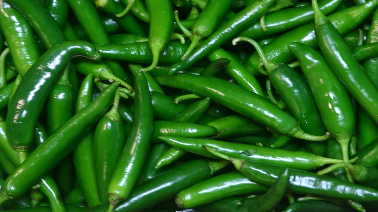 Does eating green chillies reduce the risk of heart attack? Know here