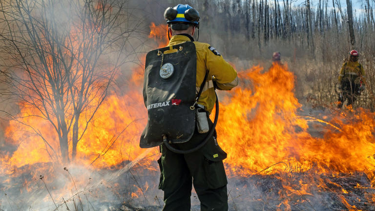 It could all go up in flames: Why Banff and Bow Valley face mounting ...