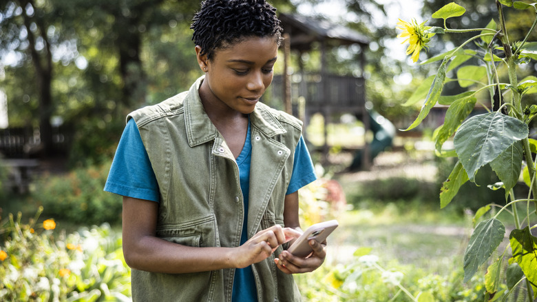 Mistakes You're Making When Building A Sun Map