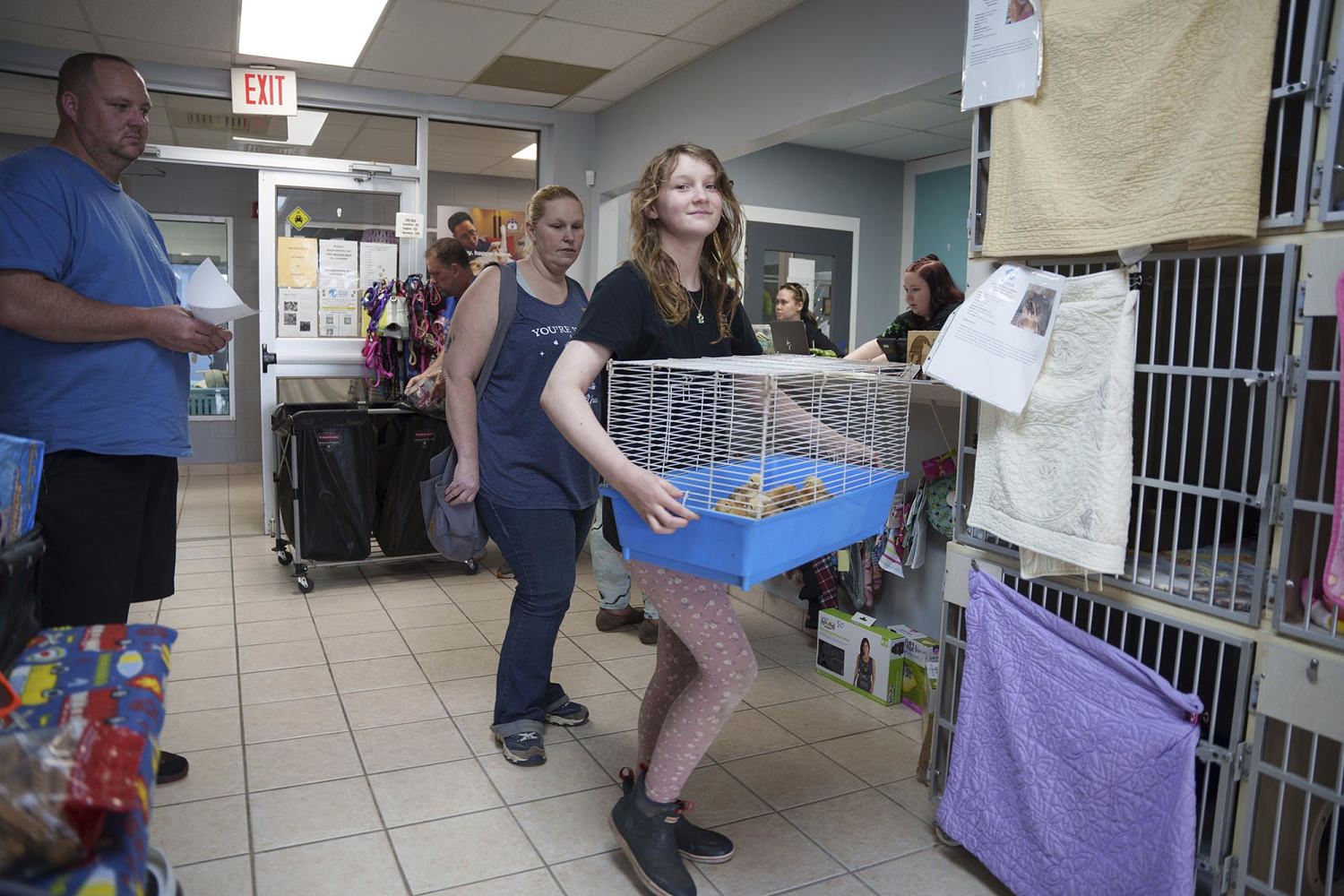 Delaware officials recover thousands of abandoned chicks from USPS truck
