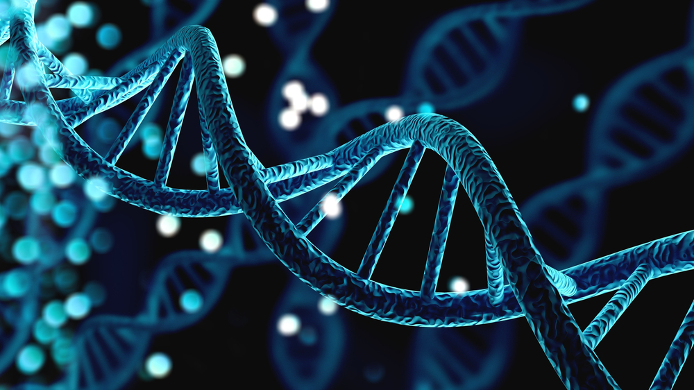 Researchers Find 6 Living Descendants of Leonardo da Vinci Through DNA ...