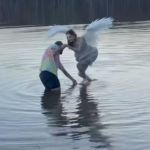 Photographer's "Floating Angel" Photoshoot Will Take Your Breath Away