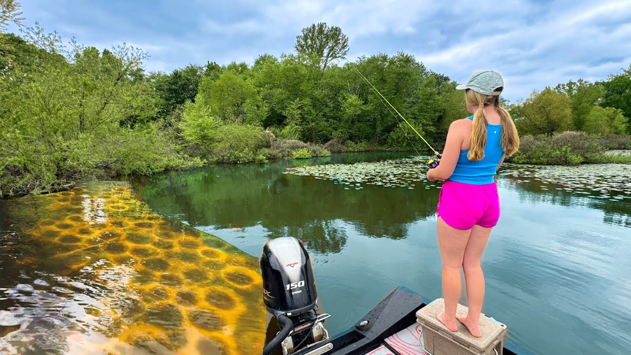 Loaded Bream Bed Found Near Creek—Huge Jackpot