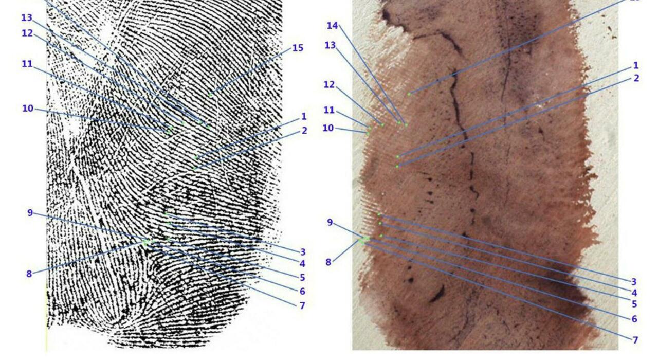 Impronte digitali, come si comparano? Cosa sono le minuzie e quante ne ...
