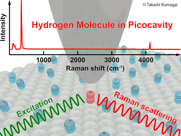 Single-molecule spectroscopy reveals isotope effect in hydrogen ...