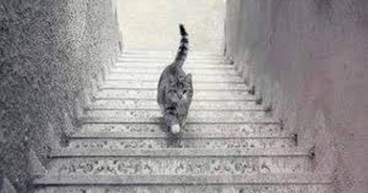 11 Phrases That Turn Friendly Conversations…AWKWARD