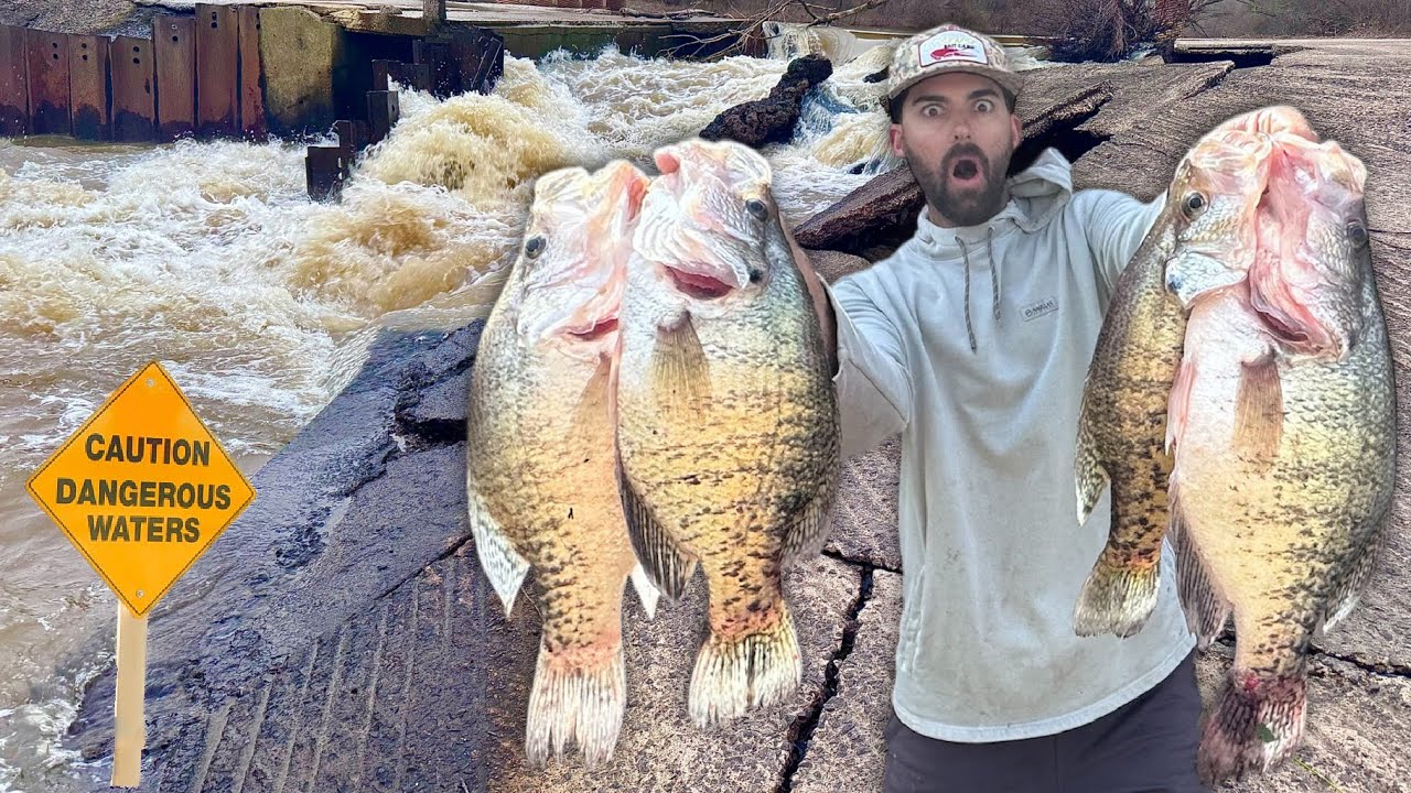 Bank fishing monster crappie in dangerous creek spring adventure