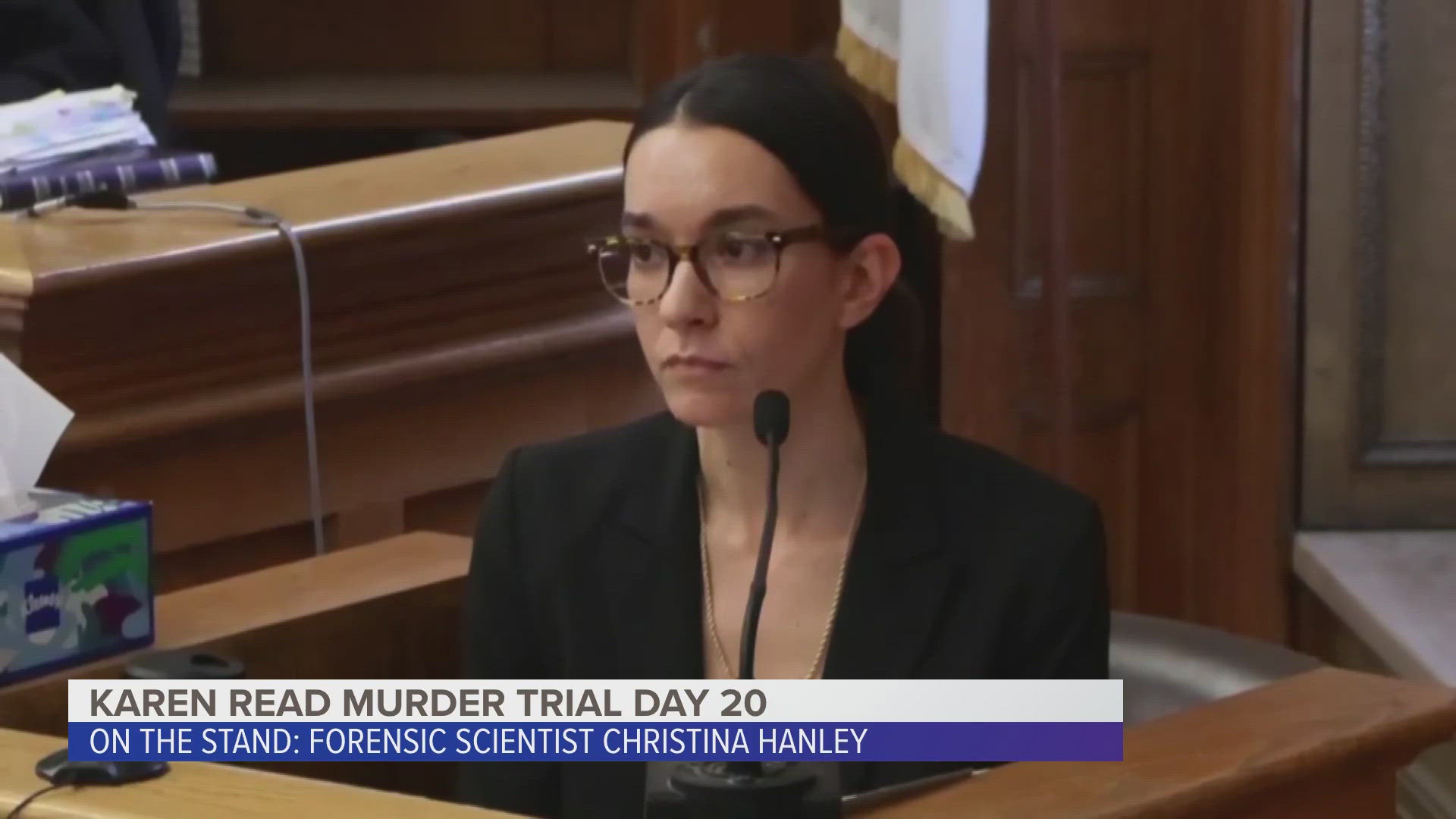 Karen Read Murder Trial: Christina Hanley testifies, part 1, Day 20