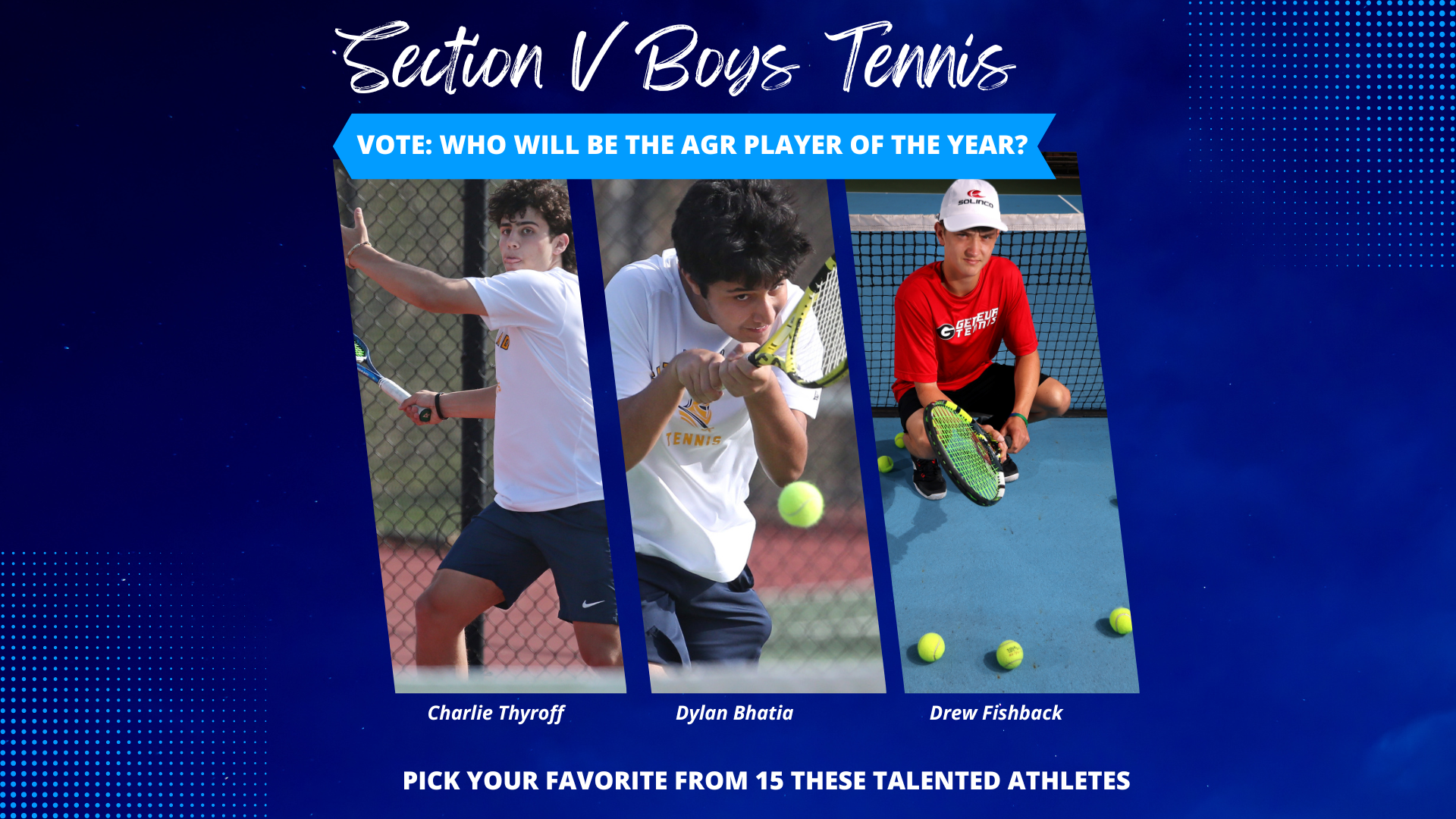 Fan vote: Who should be the boys tennis player of the year?