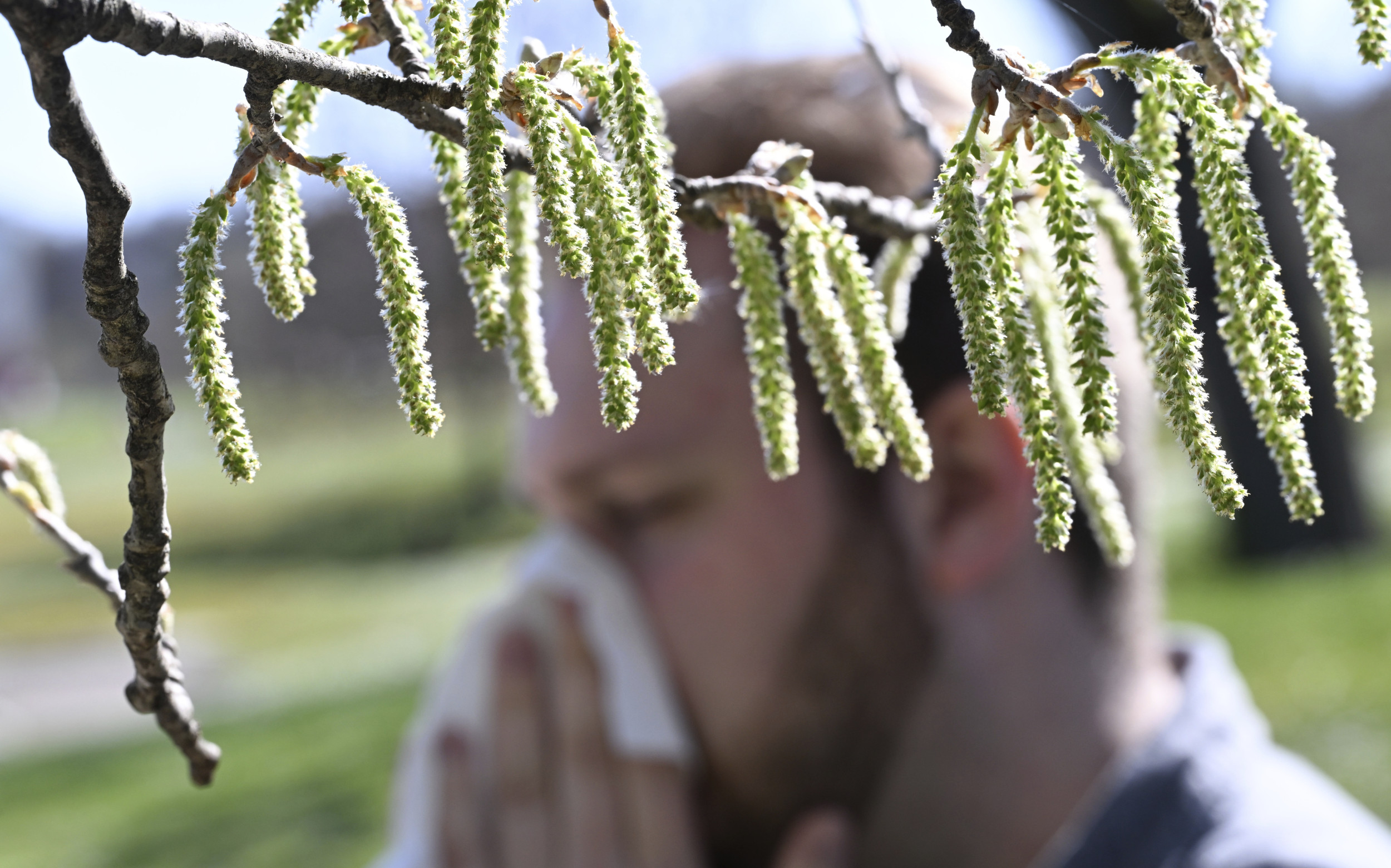 FDA issues warning about popular allergy medications