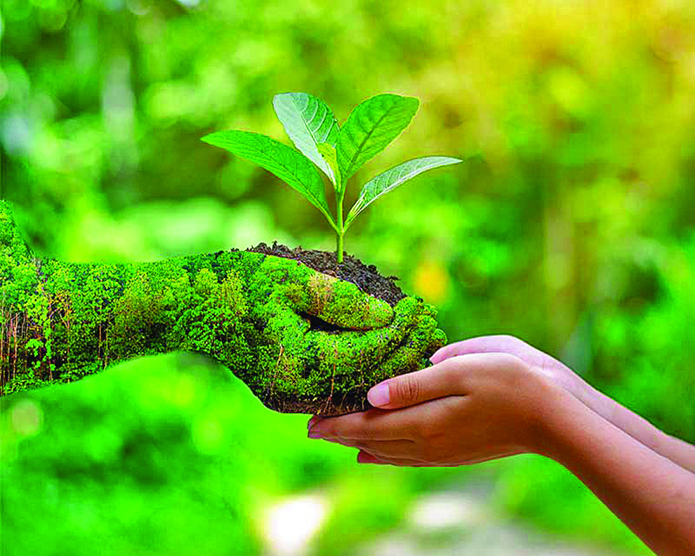 Be part of the plan: India's bold vision for biodiversity conservation