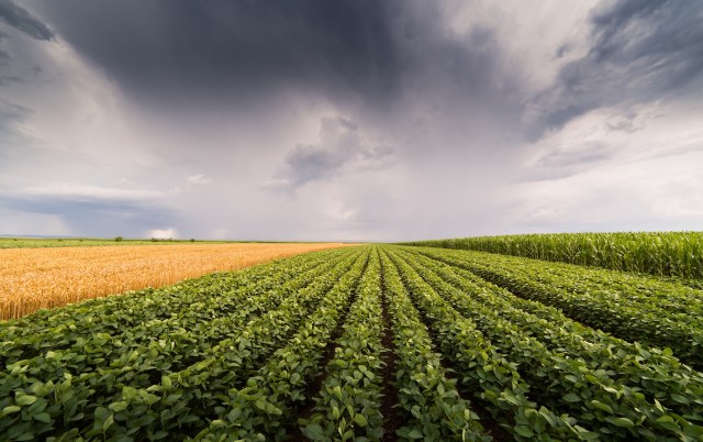 Farmers issue warning as unexpected conditions threaten supply of key ...