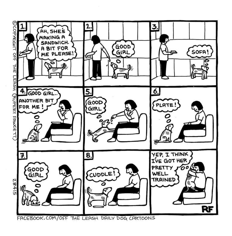 35 Funny Comics For Dog Lovers From Cartoonist Rupert Fawcett