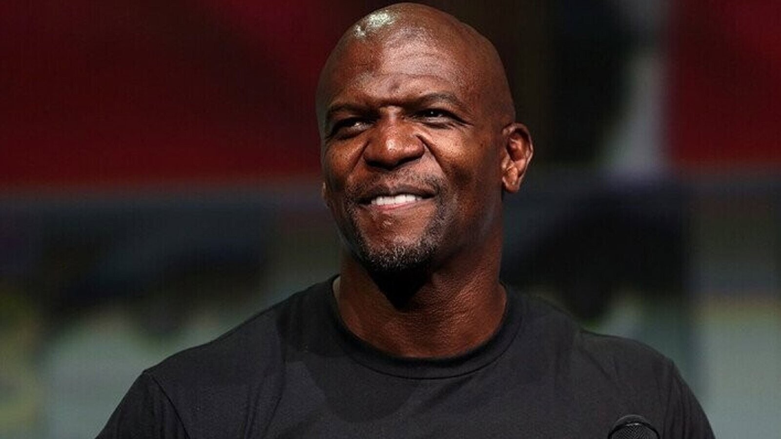 13 Insane Quotes By Famous People That Made Us 'Say What?'