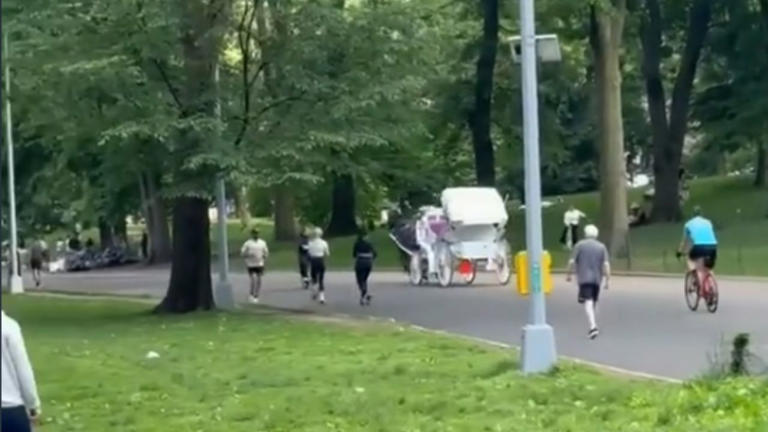 Wie wird man Forensiker? Einfach erklärt