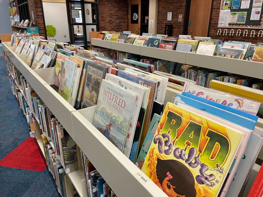 Summer reading program returns to Sioux Falls libraries