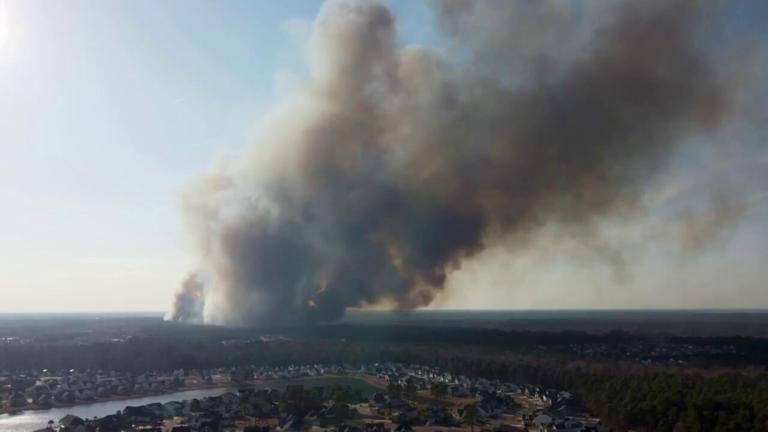 Carolina Forest wildfire reaches 100% containment