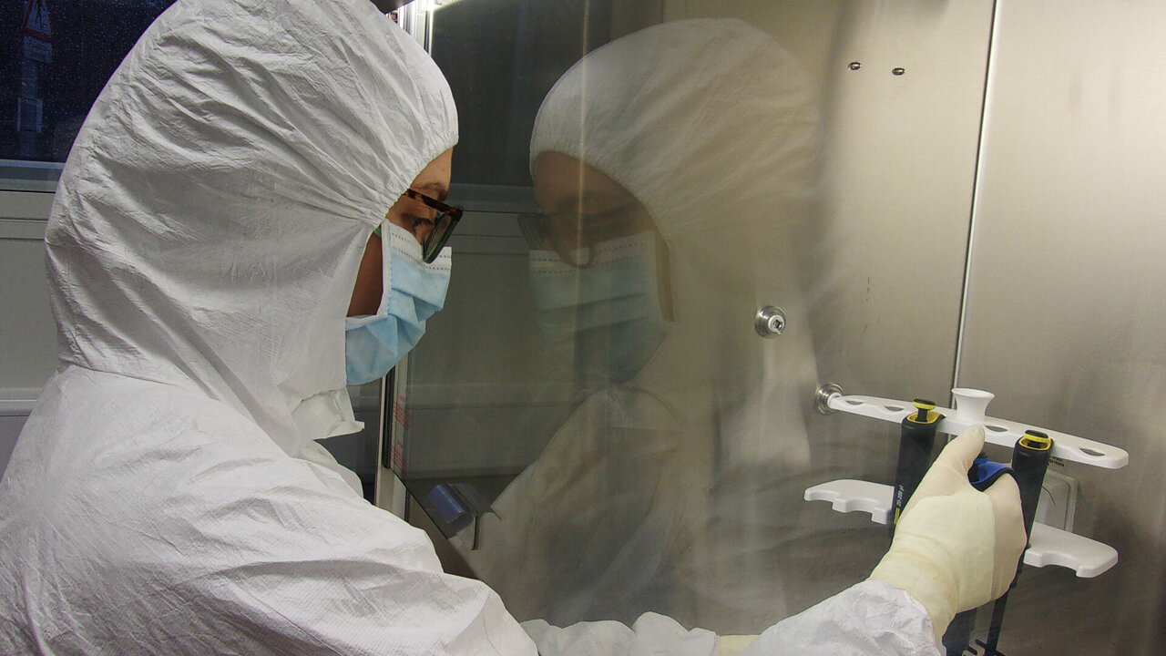 Ancient DNA study reveals ethnic cleansing impact on genetic landscape ...