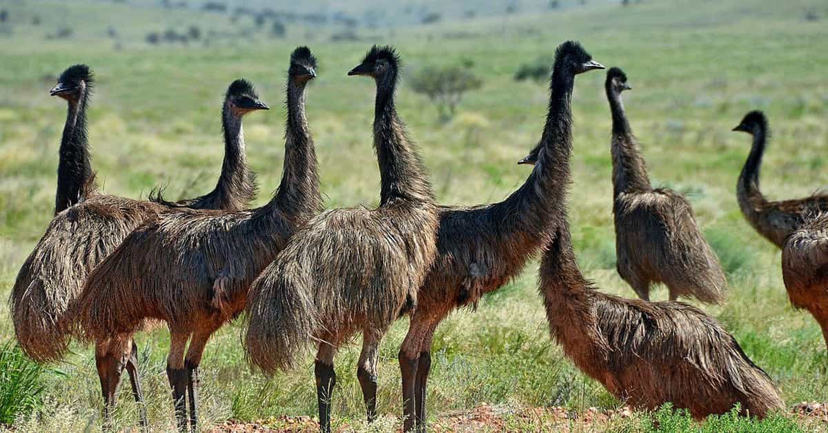 12 Humorous Historical Moments