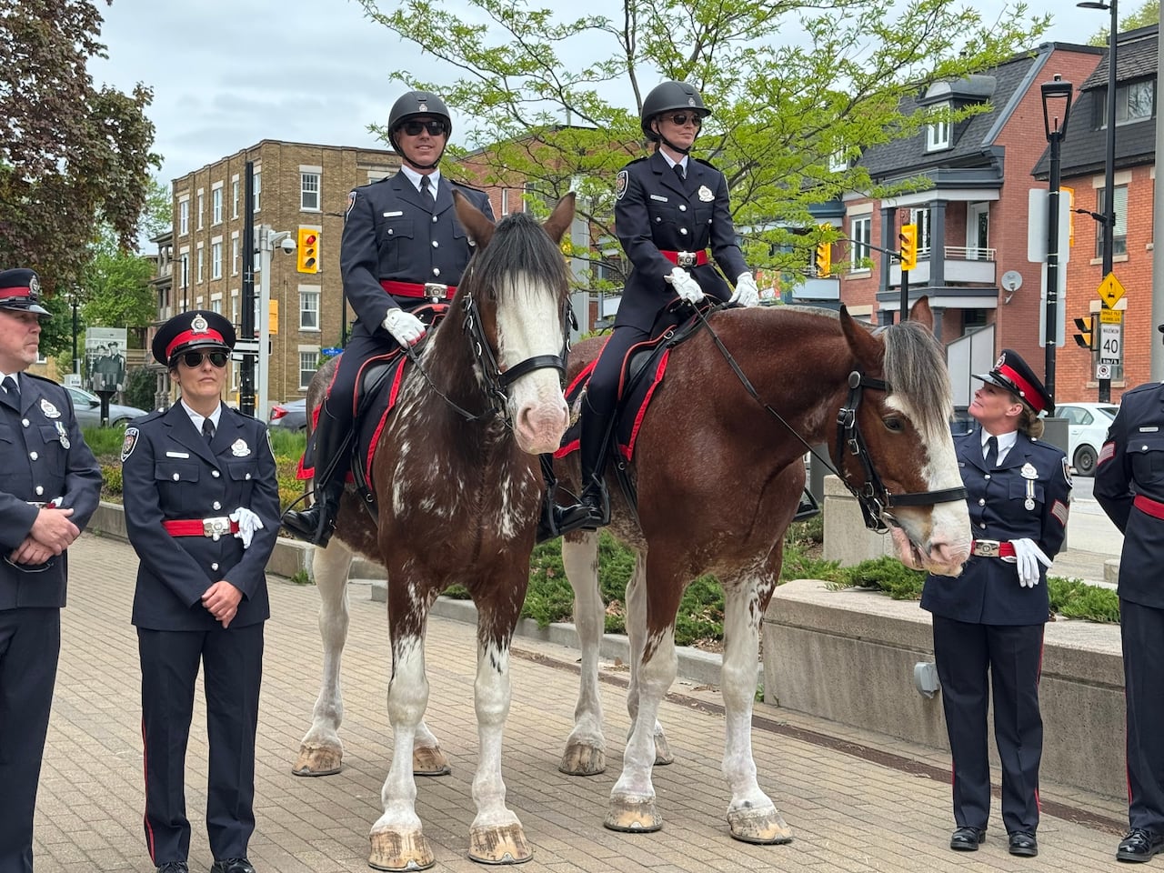 Ottawa police introduce new mounted unit
